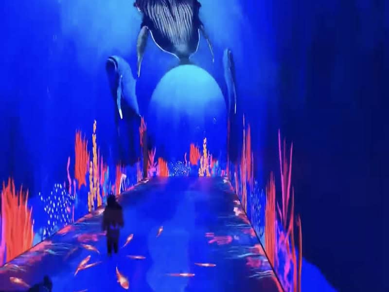 3D Led Display Solution - Ledtop Technology